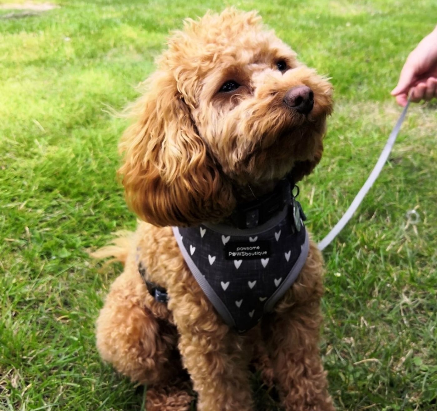 The Wiremill Pub, Restaurant & Rooms in Lingfield, Surrey