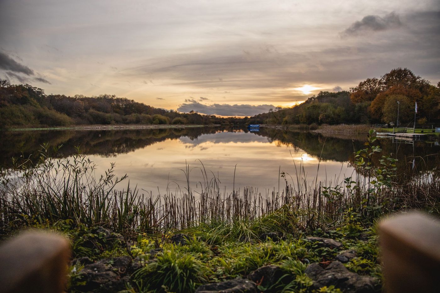 The Wiremill, Lingfield | Pub & Restaurant with Rooms in Surrey